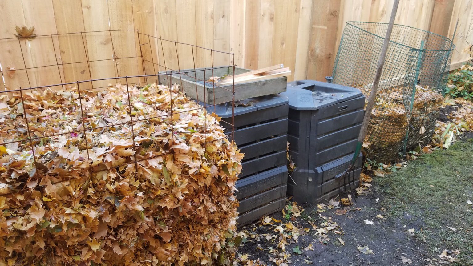 Leaf Mold: Solid Gold for Your Garden — The Coeur d'Alene Coop
