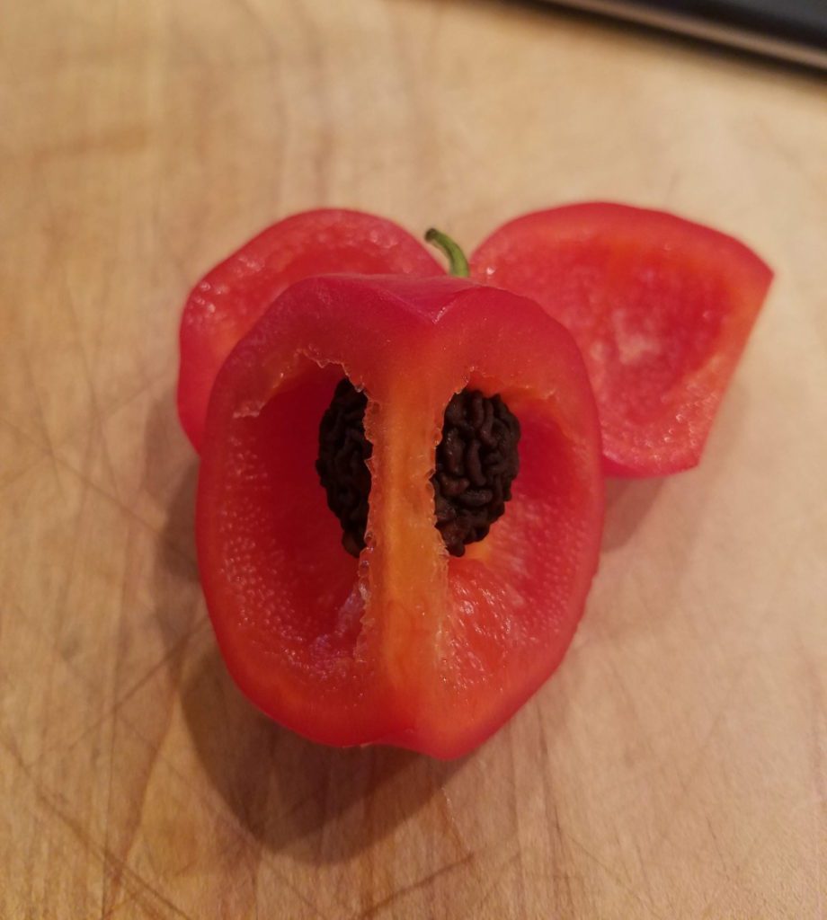 Manzano Chile Pepper — The Coeur d'Alene Coop