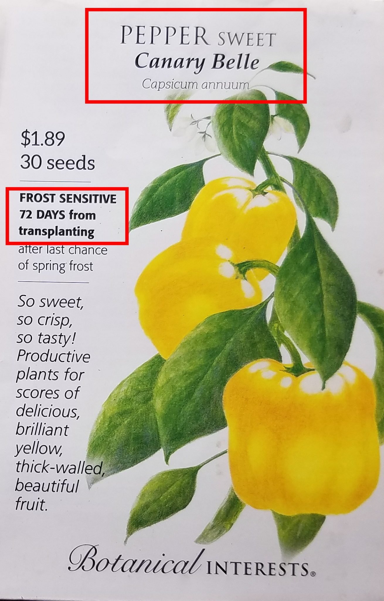 Seed Packet Basics: What, When, and How to Plant — The Coeur d'Alene Coop