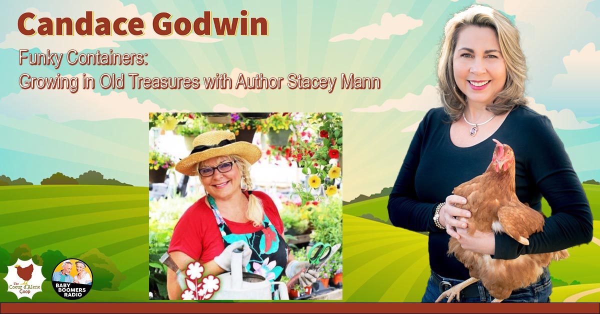 16: Funky Containers: How to Convert Old Treasures and Flowers into ...