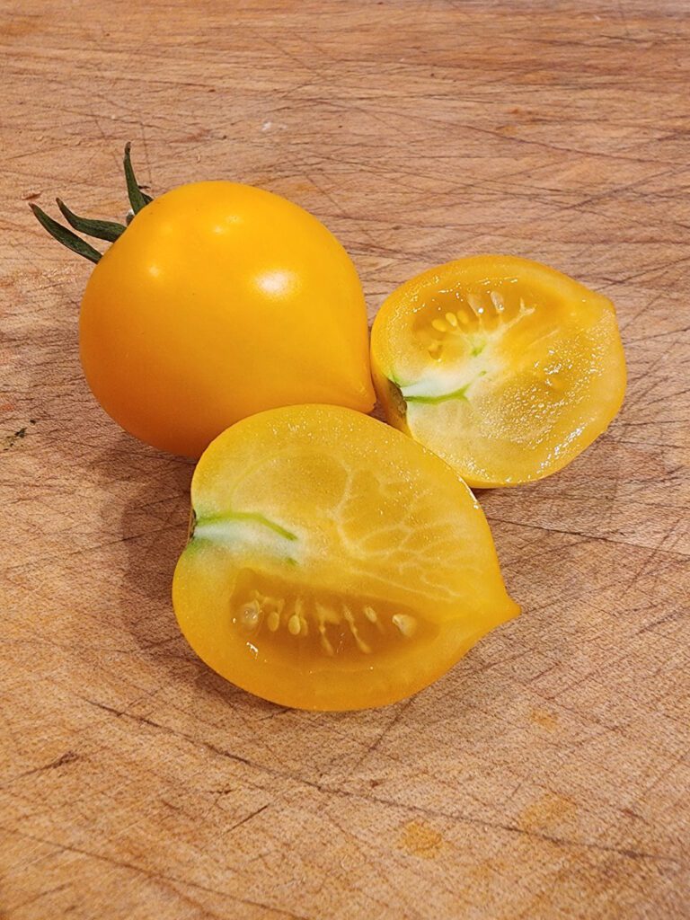 Lil’ Peeps Cherry Micro-Dwarf Tomato — The Coeur d'Alene Coop