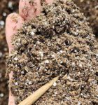 Seed Magic: How Germination Occurs and Why It Can Fail — The Coeur d ...