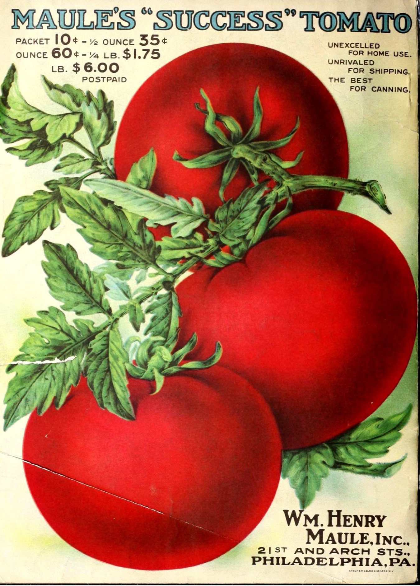 How One Packet of Tomato Seeds Launched A Gardening Business - The ...