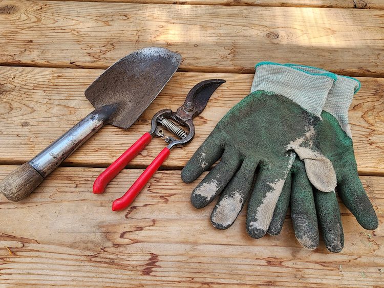 How to Keep Yourself Safe in the Garden - The Coeur d'Alene Coop